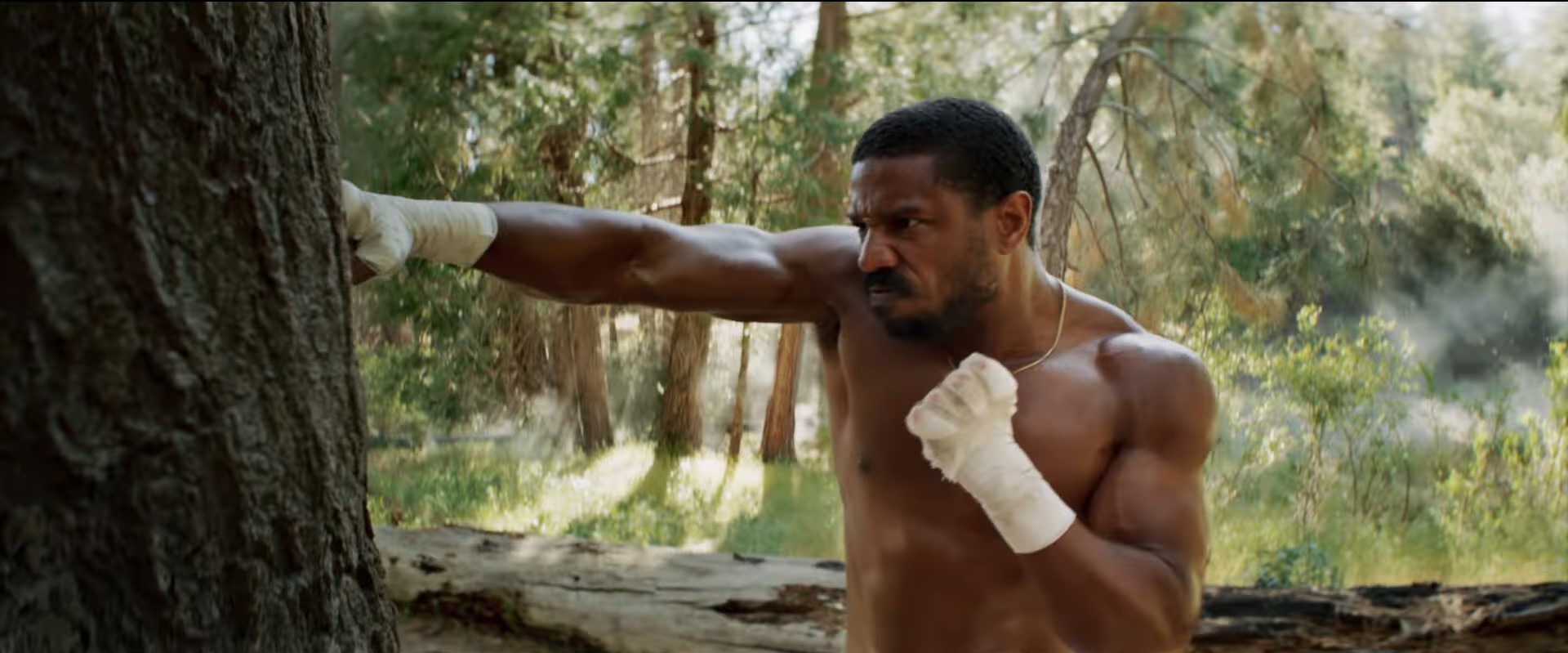 ‘Creed III’ Isn’t a Knockout But Actors and Action Pack a Punch – Pop ...